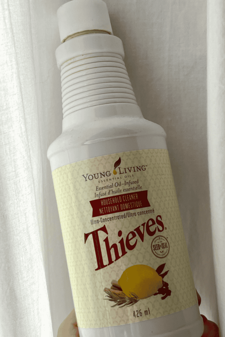 10 Best Non-Toxic Cleaning Brands In 2025